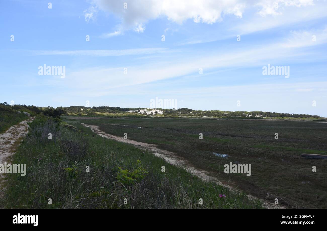 Path ways and tidal flats along the outer Cape Cod Stock Photo - Alamy
