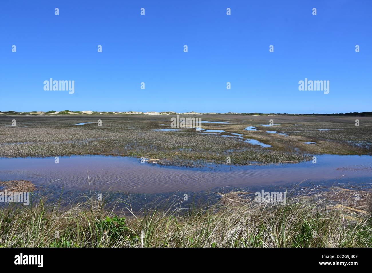 Tidal wetlands cape cod hi-res stock photography and images - Alamy