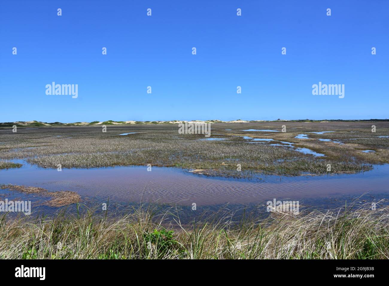 Tidal marsh with flowing water in pools Stock Photo - Alamy