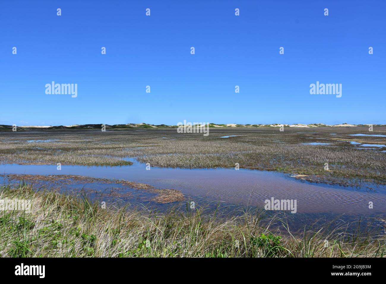 Tidal wetlands cape cod hi-res stock photography and images - Alamy