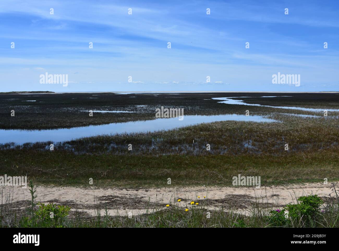 Tidal wetlands cape cod hi-res stock photography and images - Alamy