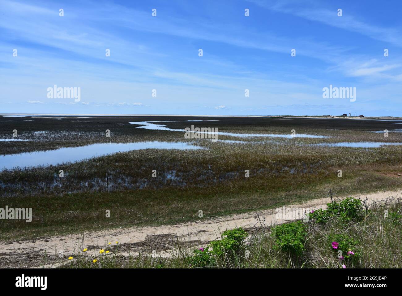Tidal wetlands cape cod hi-res stock photography and images - Alamy