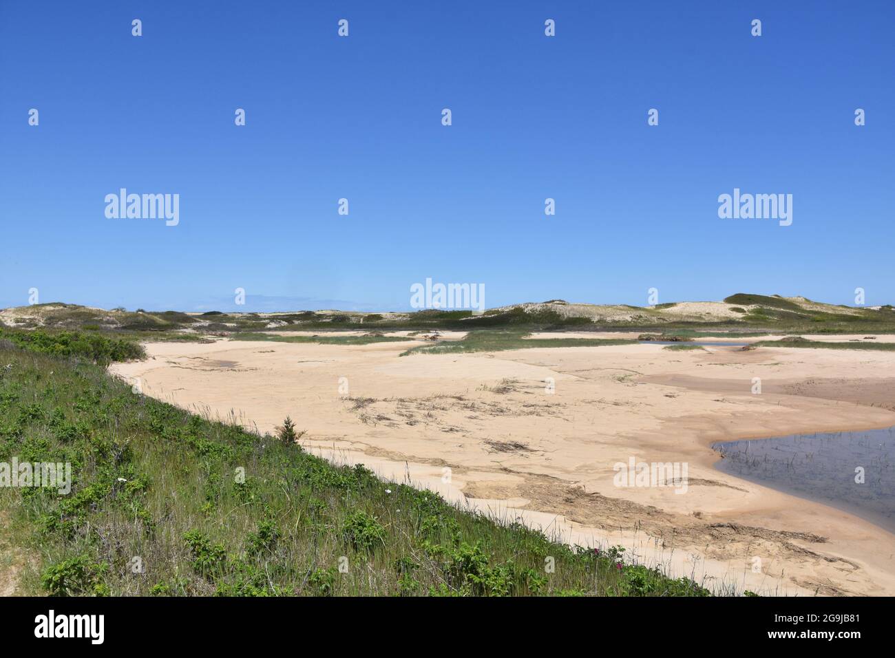 Tidal marsh and sand beach along Cape Cod Stock Photo - Alamy