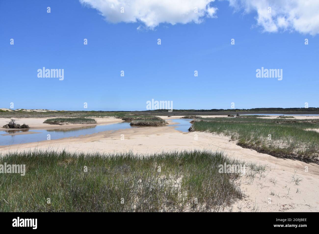 Tidal pools and salt marsh along Cape Cod Stock Photo - Alamy