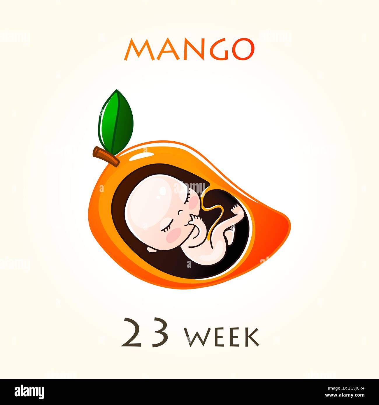 23 Week Fetus Size