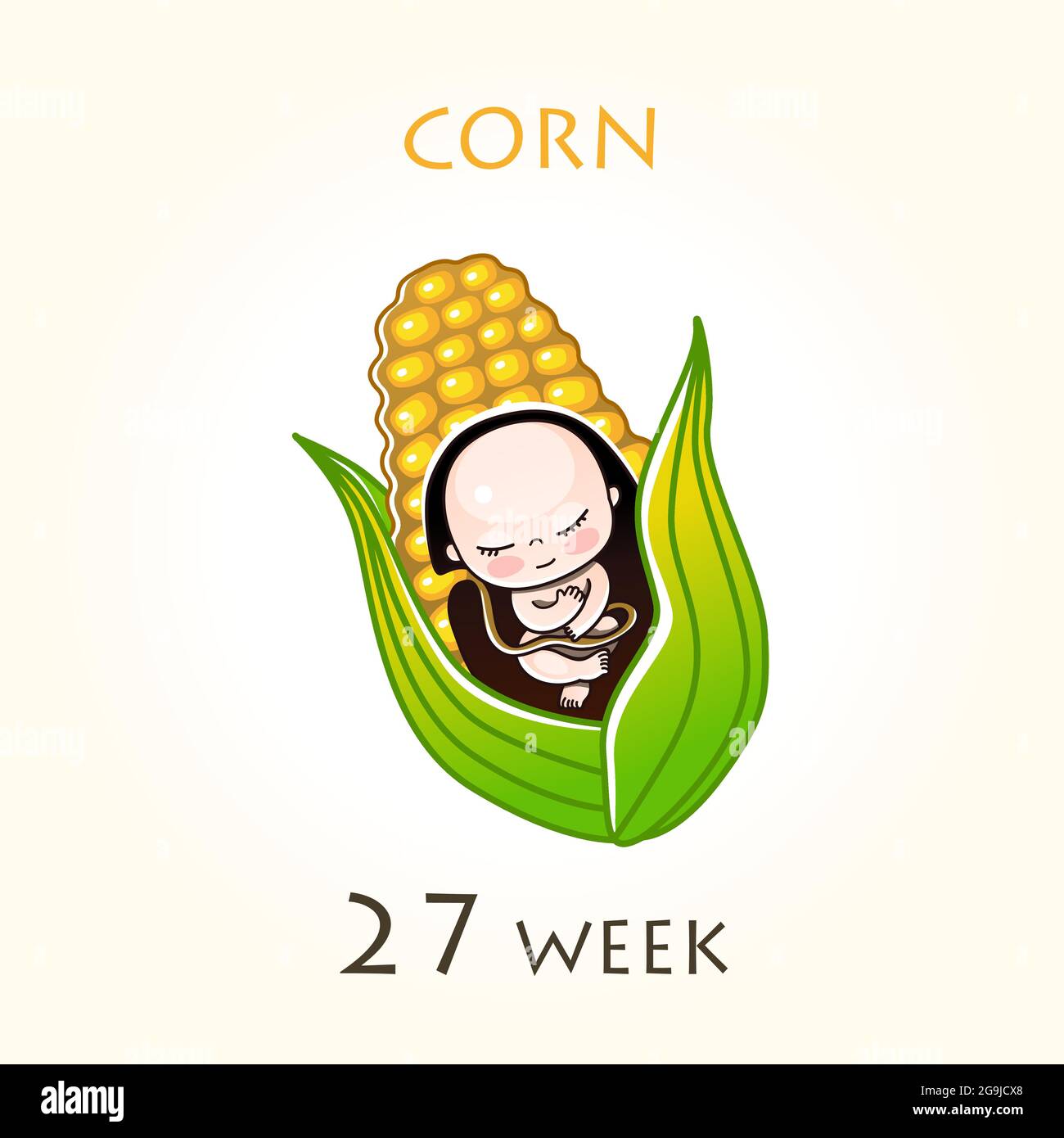 Corn Growth Stages High Resolution Stock Photography and Images - Alamy