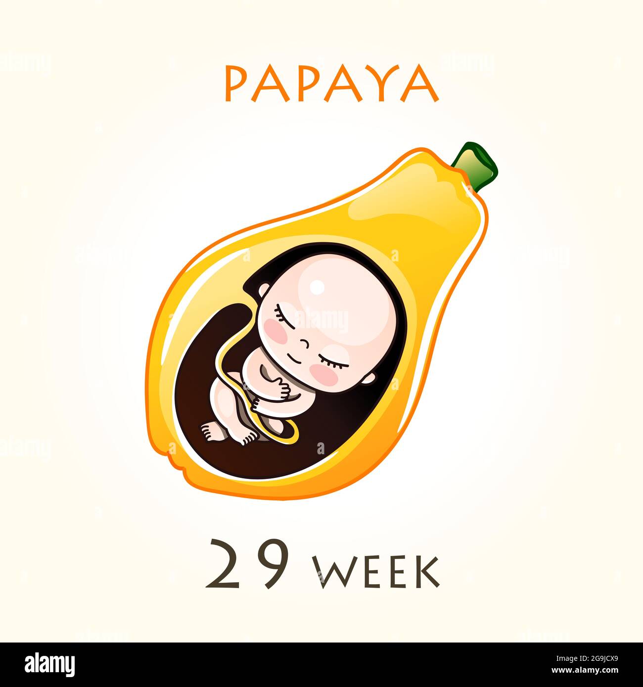 Stages of development of pregnancy, the size of the embryo for weeks ...