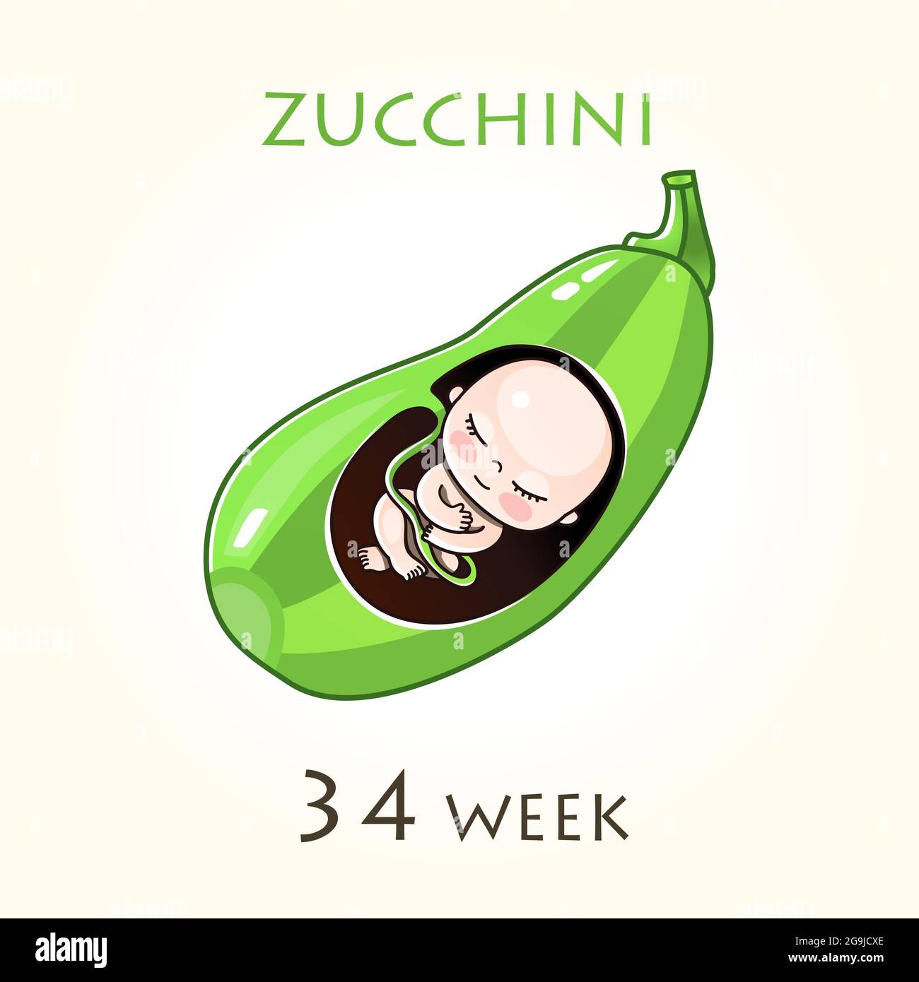 Stages of development of pregnancy, the size of the embryo for weeks ...