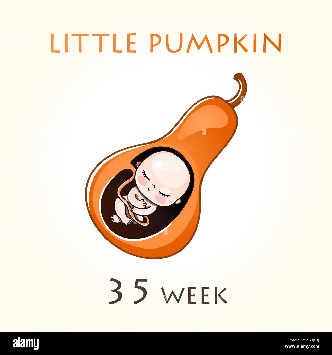 Stages of development of pregnancy, the size of the embryo for weeks ...