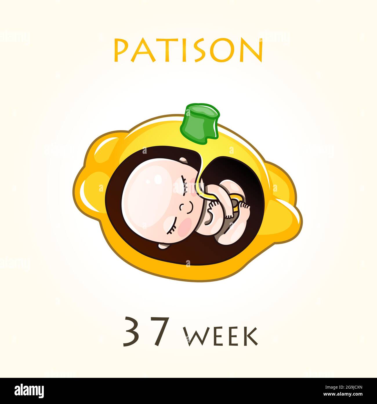 37 Week Fetus Size