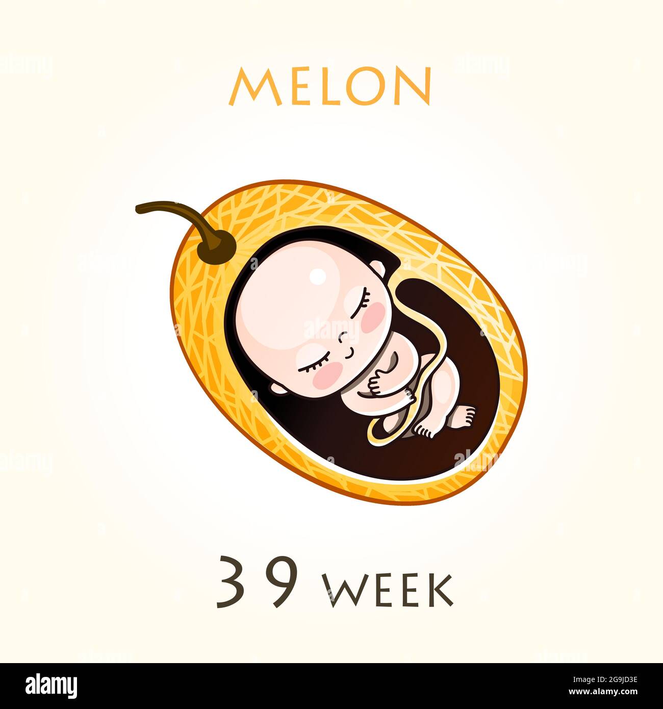 Stages of development of pregnancy, the size of the embryo for weeks ...