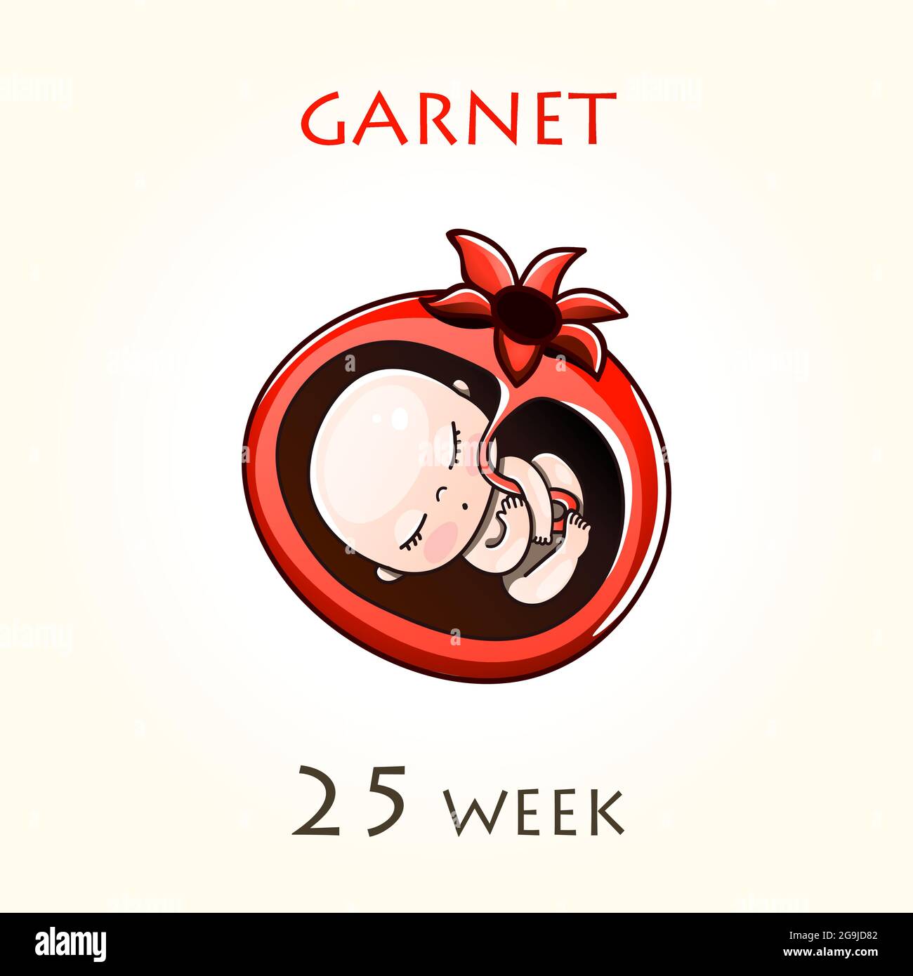 25 Weeks Fetus Size Baby Bump #2 | 25 Weeks | You're So Martha