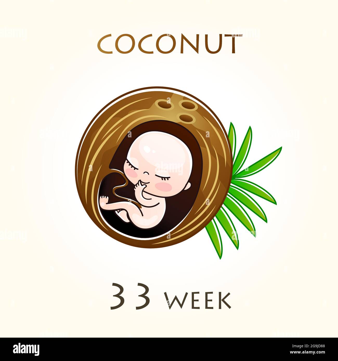 Stages of development of pregnancy, the size of the embryo for weeks ...