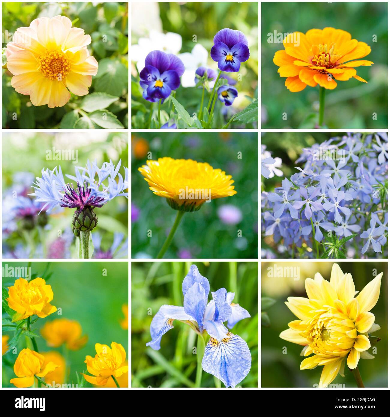 Lower outside Cut Out Stock Images & Pictures - Alamy