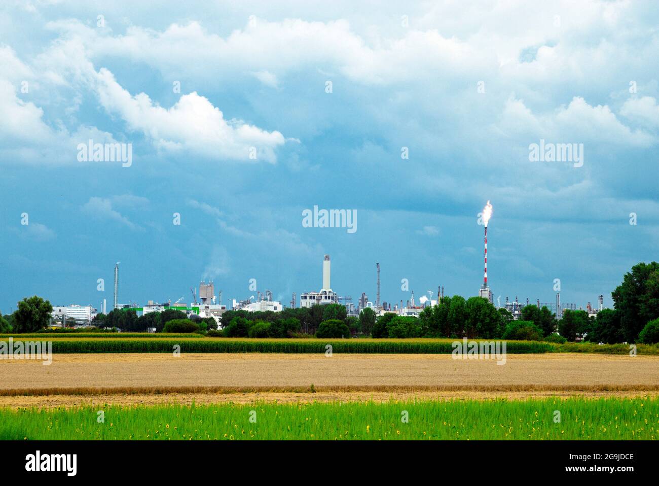 BASF Chemical Company: Ludwigshafen main plant against fields Stock ...