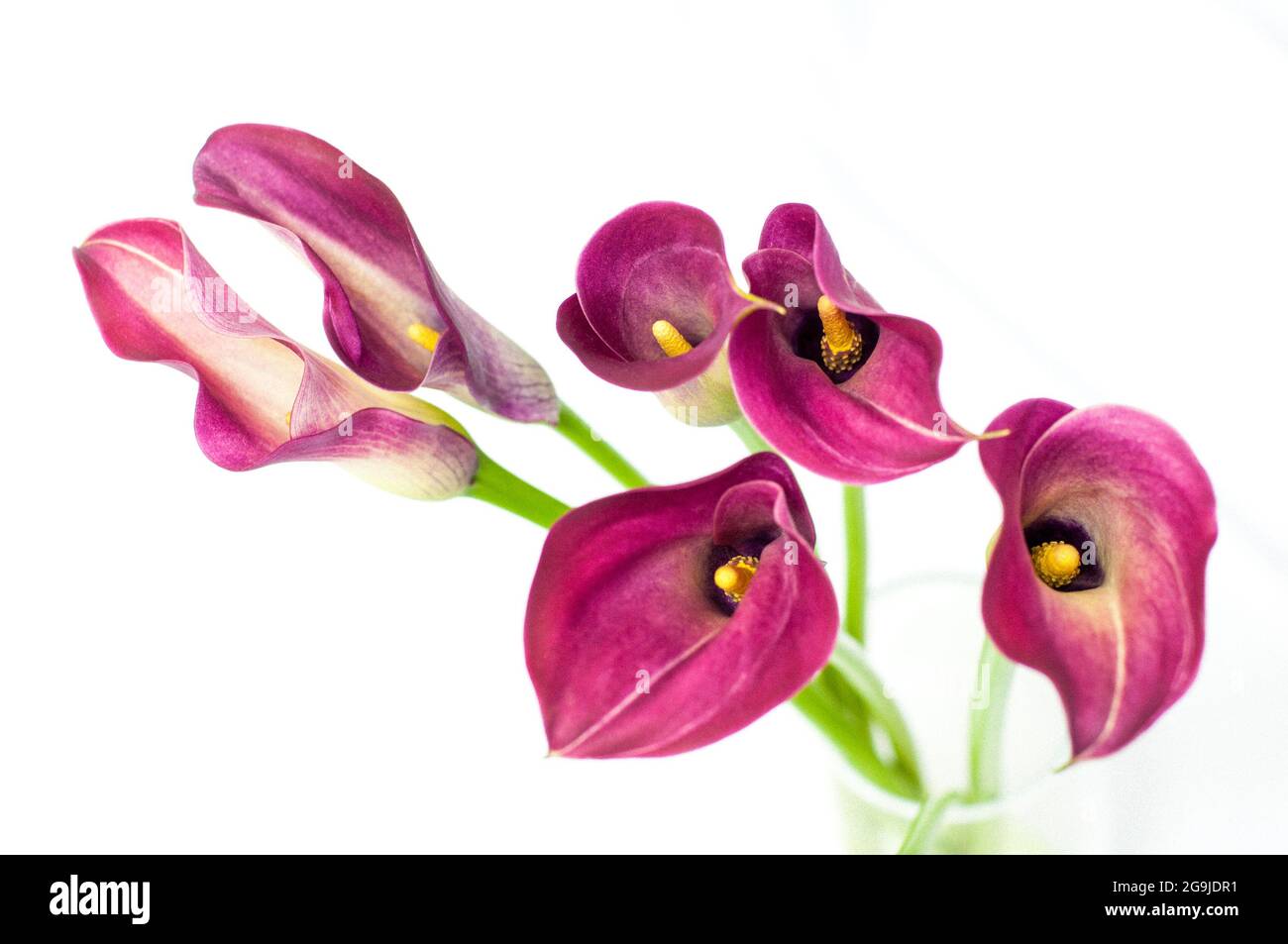 The wonder of the water image Cut Out Stock Images & Pictures - Alamy