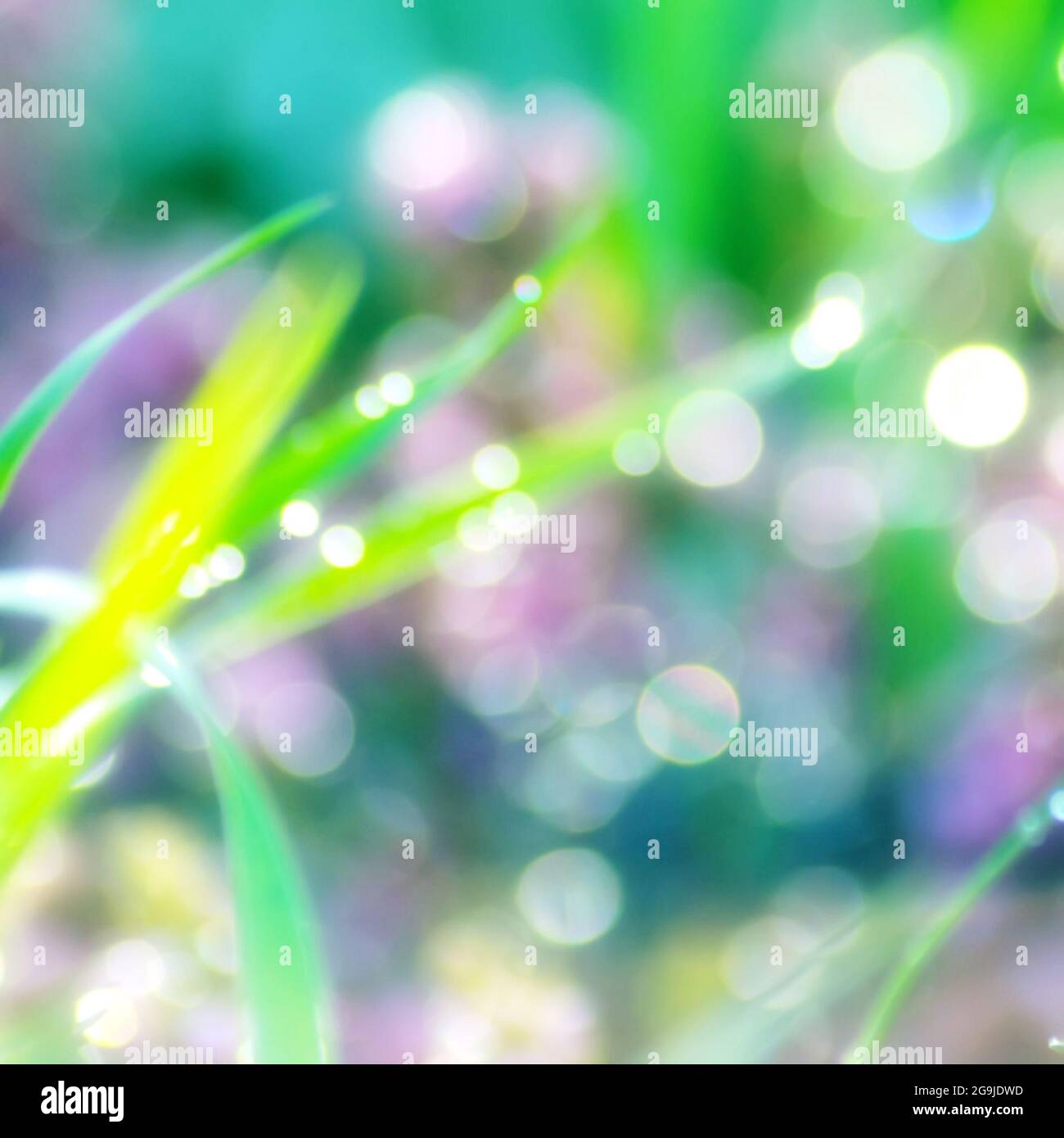 Green boken hi-res stock photography and images - Alamy