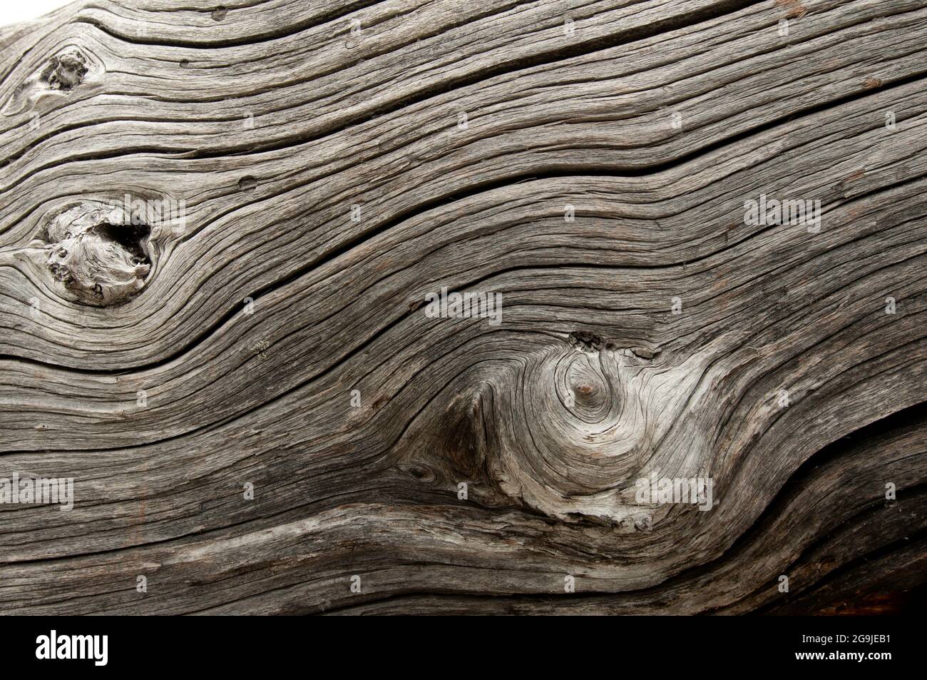 Wood grain of an oald log Stock Photo - Alamy