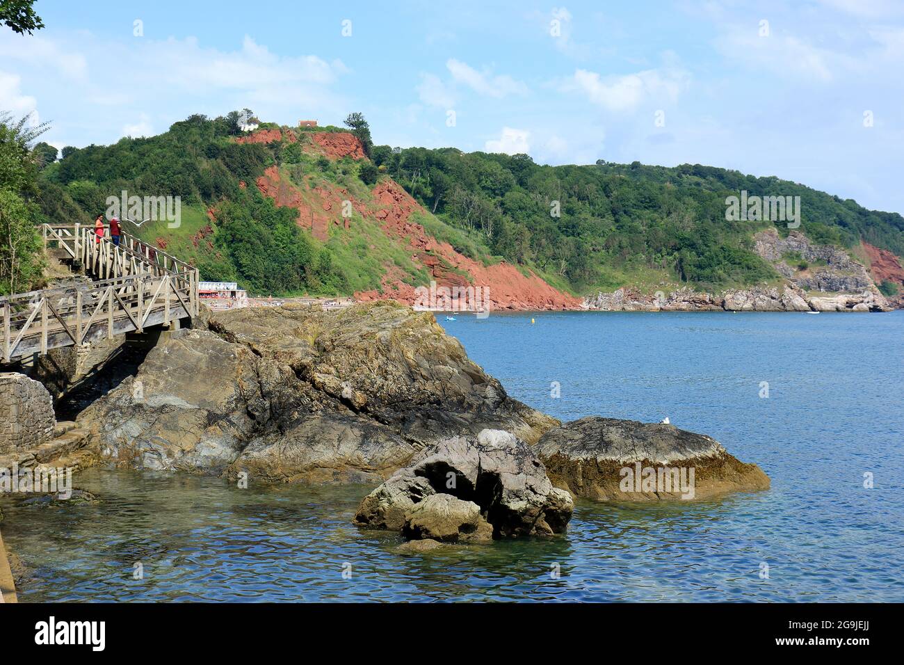 Red cliffs overlooking Oddicombe beach in Devon Stock Photo - Alamy