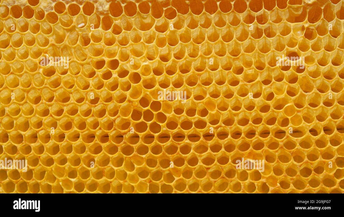 Honeycomb close-up,hexagonal honey cells.Honey produced from honeycomb ...