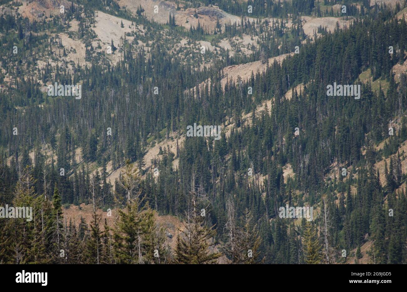Entiat mountains hi-res stock photography and images - Alamy