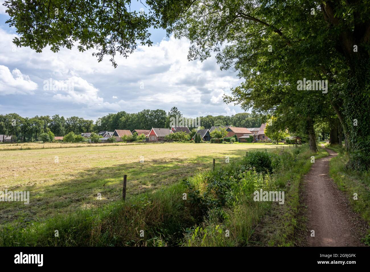 Winterswijk woold hi-res stock photography and images - Alamy
