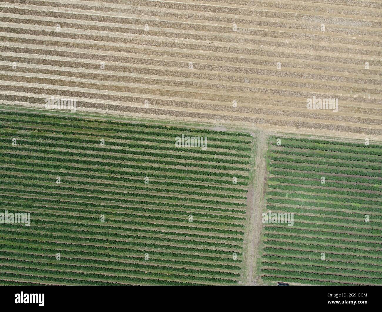 A view of a field from a drone in California Stock Photo - Alamy