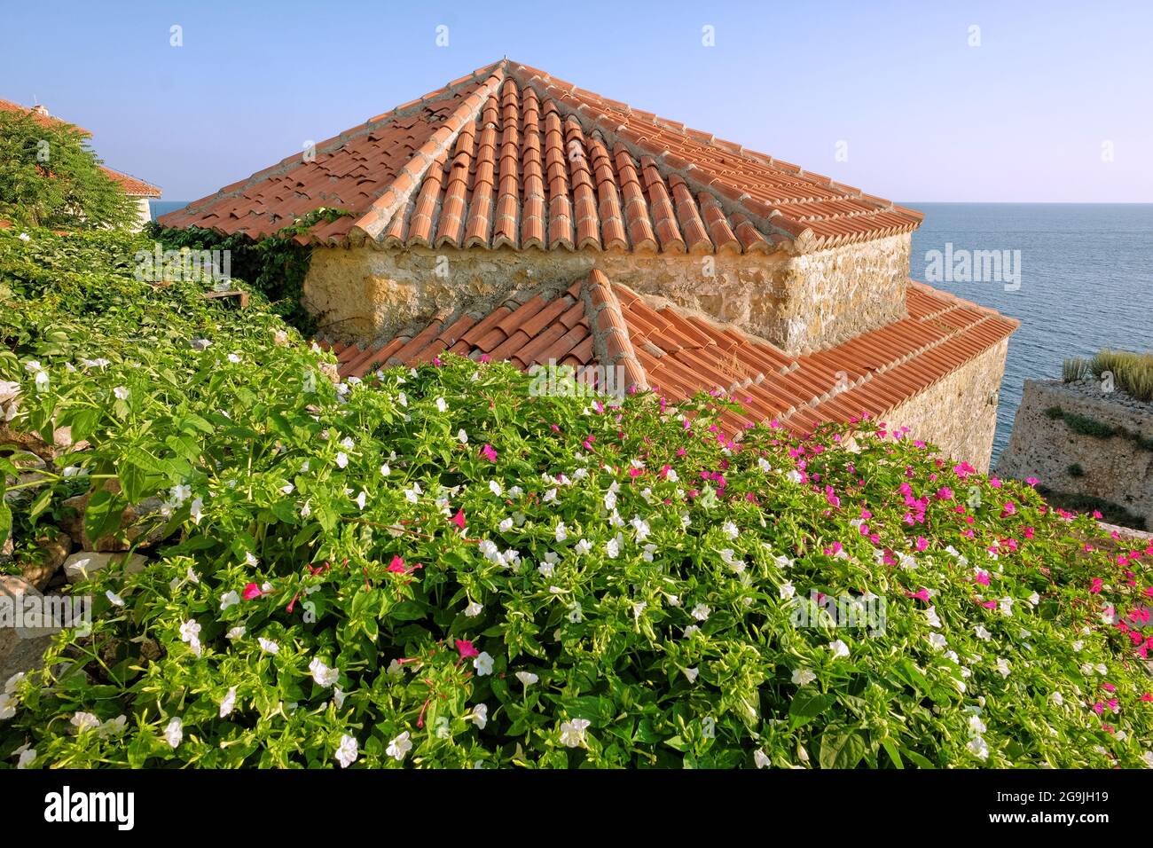 Ulcinj Stari Grad architecture and beautiful flowering, Montenegro ...