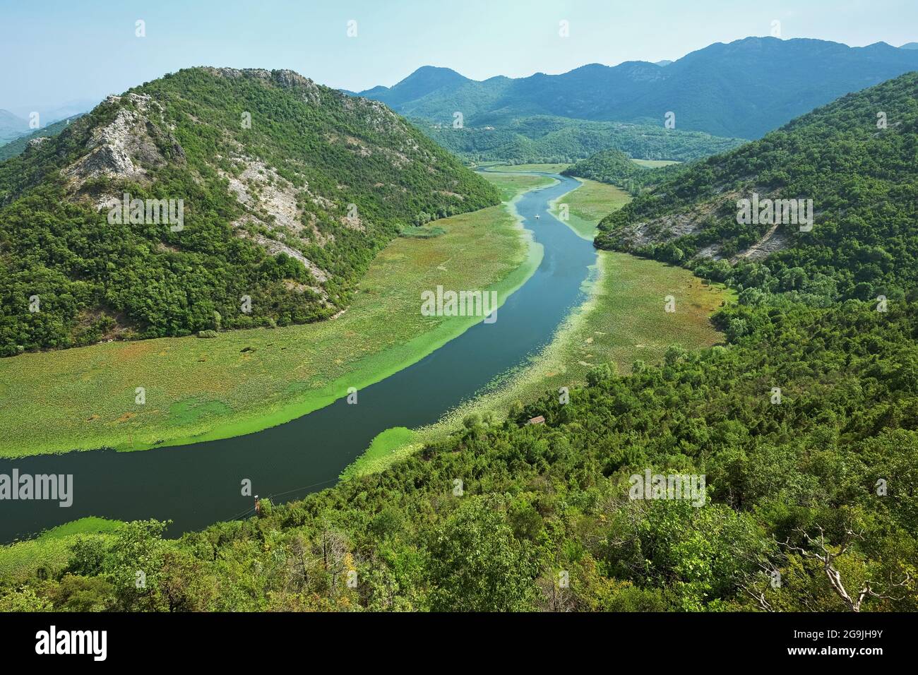 Crnojevica River flows in Skadar Lake National Park, Montenegro Stock ...