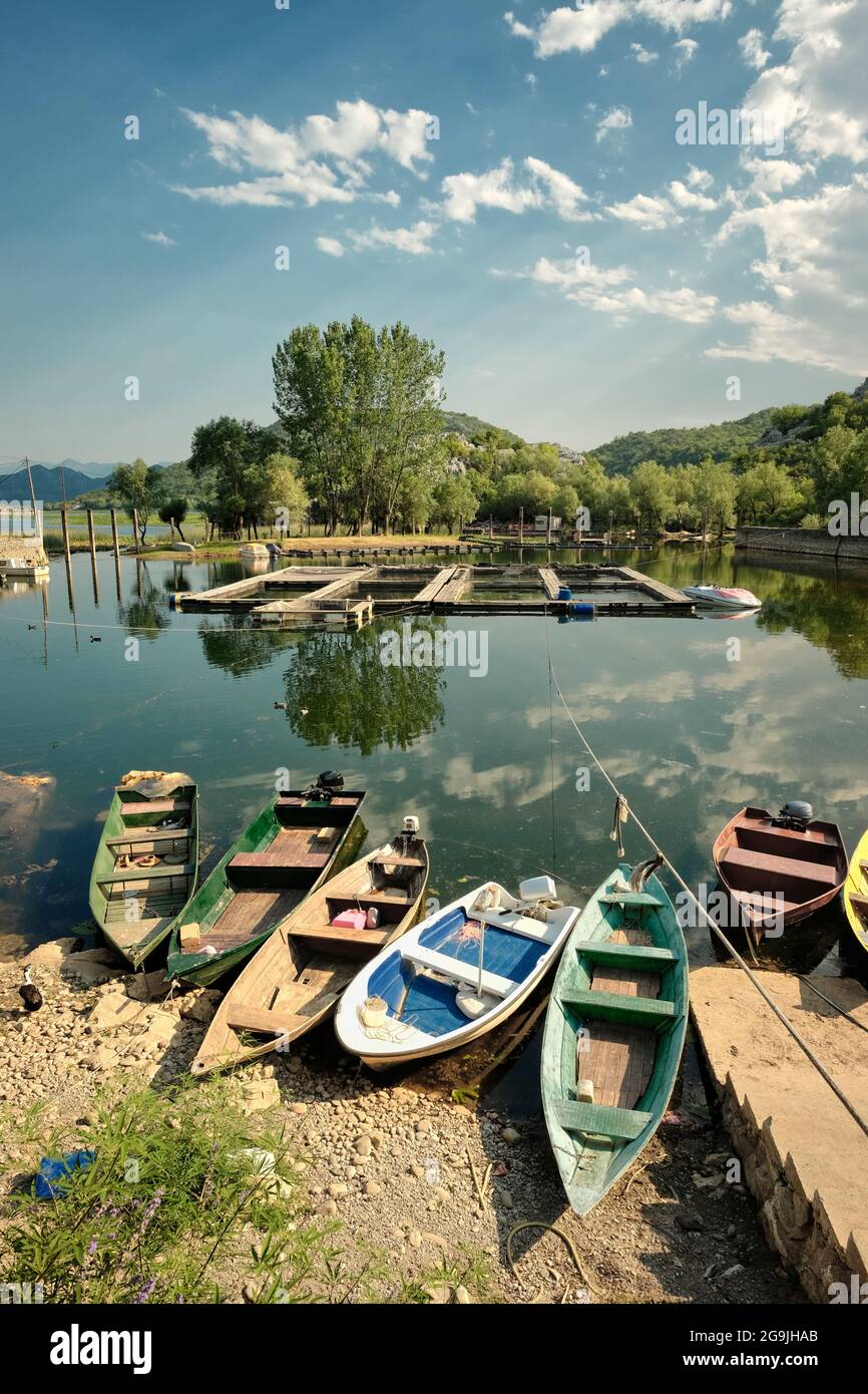 row boats on Karuc bay in Lake Skadar National Park, Montenegro Stock ...
