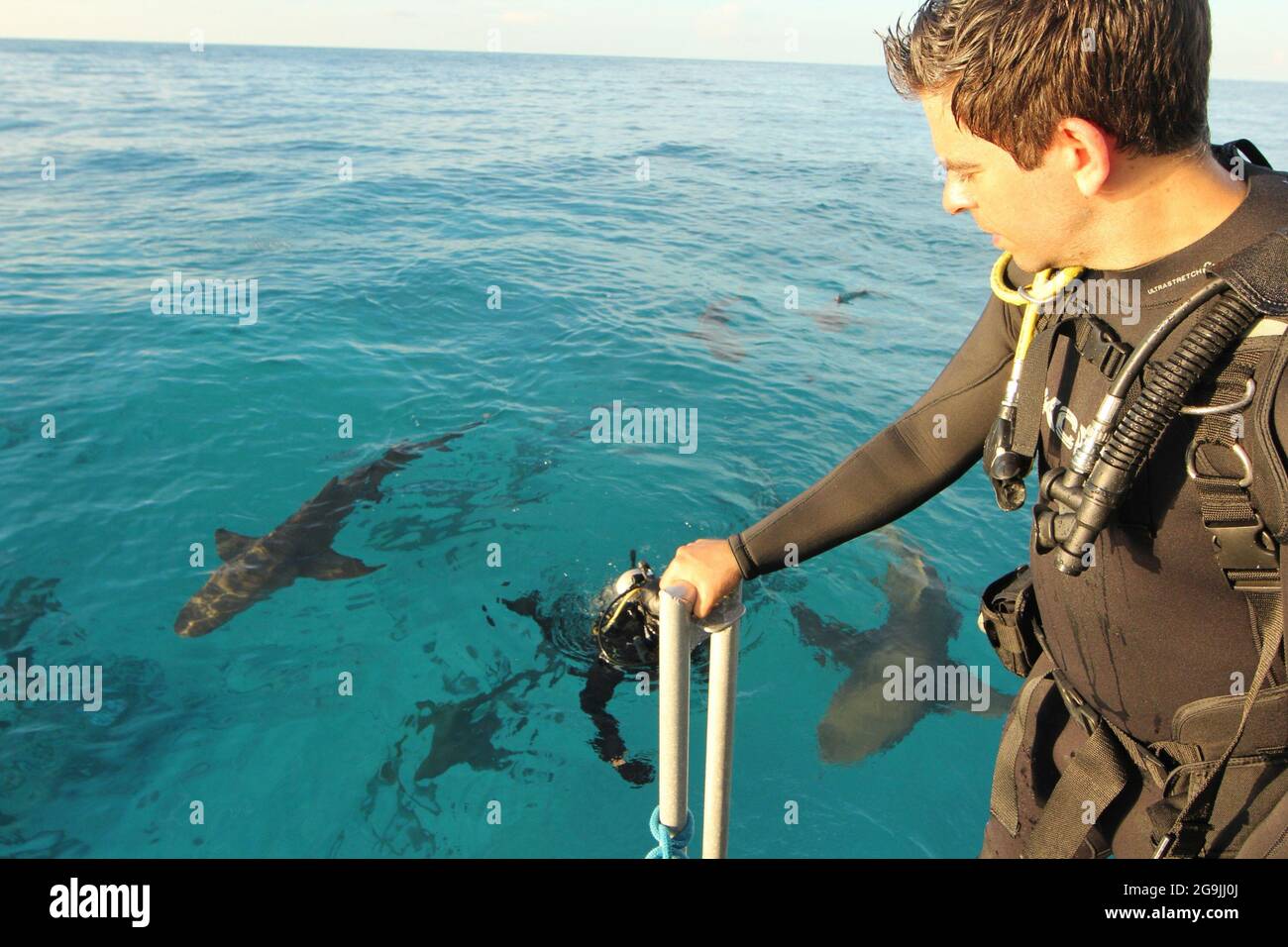 FIN, Eli Roth looking at sharks before a dive, 2021. © Discovery+ ...