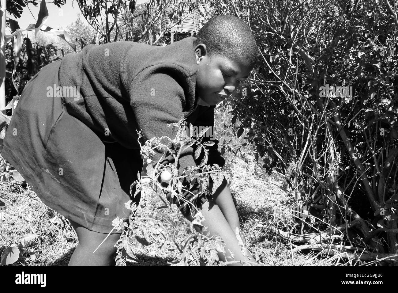 JOHANNESBURG, SOUTH AFRICA - Jan 05, 2021: An African boy learning ...