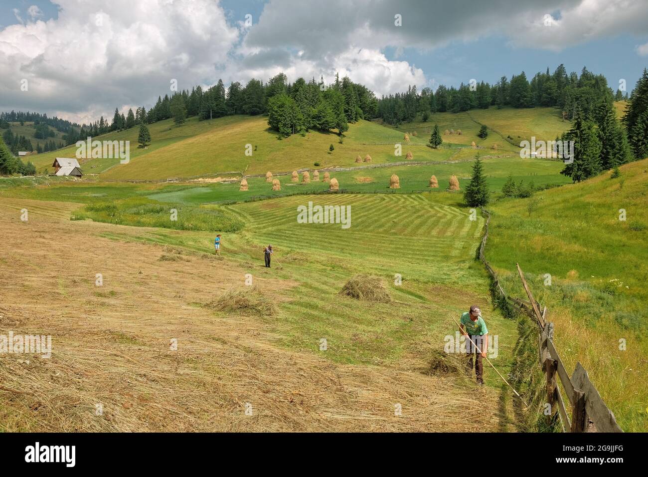 GARDA DE SUS, ROMANIA - AUGUST 04, 2015: rural landscape with farmers ...