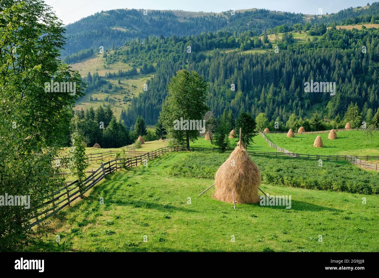 rural landscape with haystacks in Apuseni Mountains, Romania Stock ...