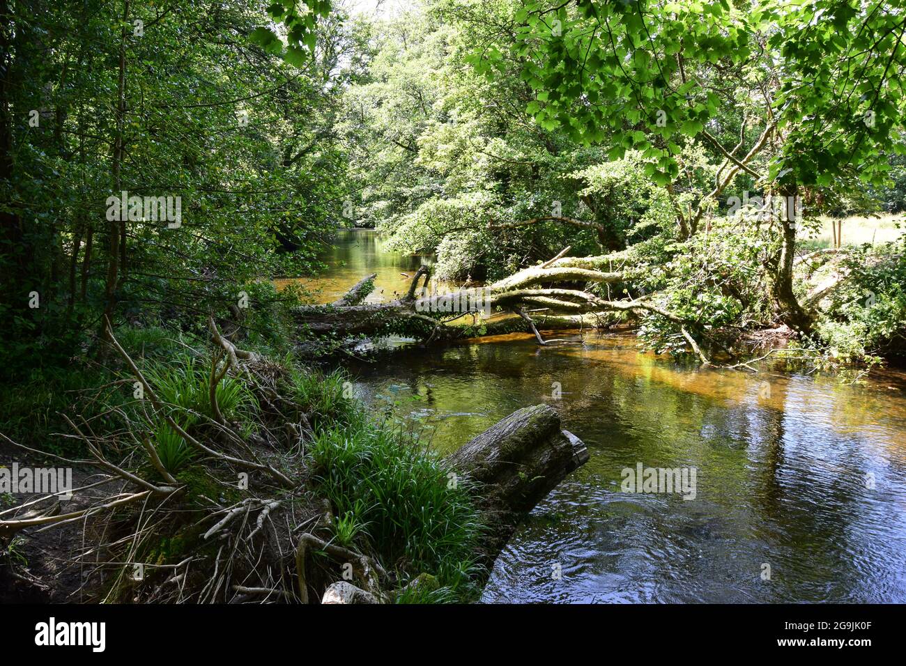 Respryn bridge river fowey hi-res stock photography and images - Alamy