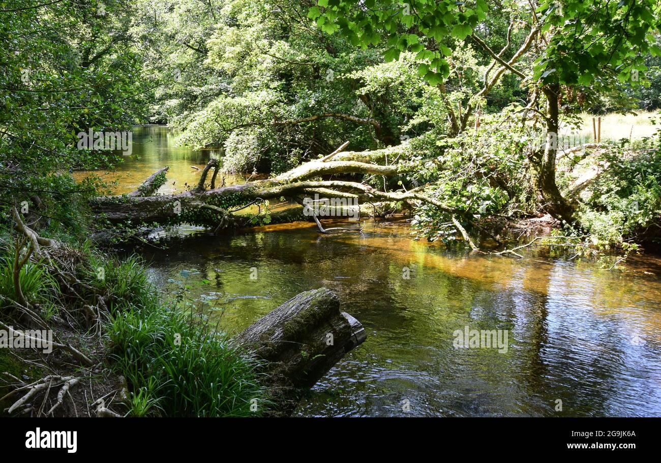 Respryn bridge river fowey hi-res stock photography and images - Alamy