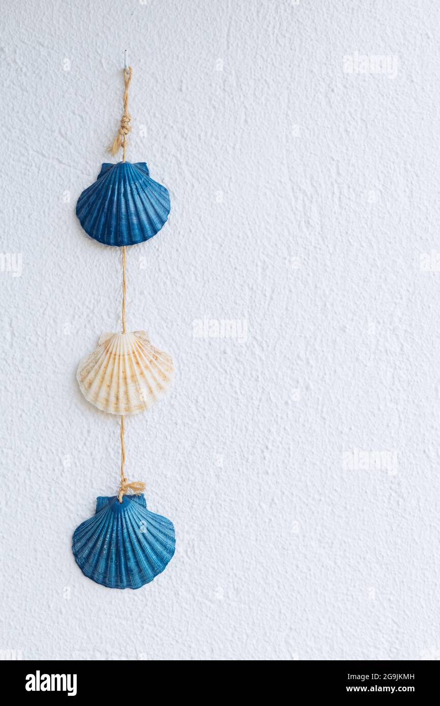 Sea shells hanging on a white wall. Sea decoration background. Summer ...