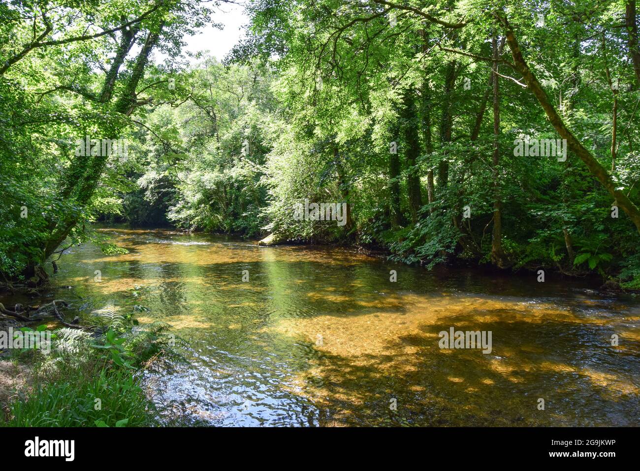 Respryn bridge river fowey hi-res stock photography and images - Alamy