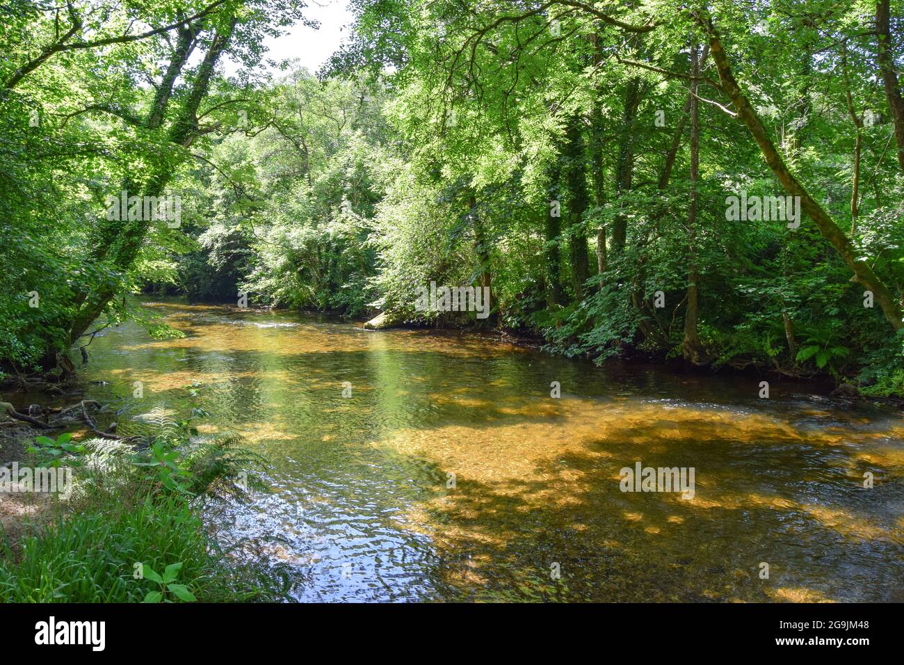 Respryn bridge river fowey hi-res stock photography and images - Alamy