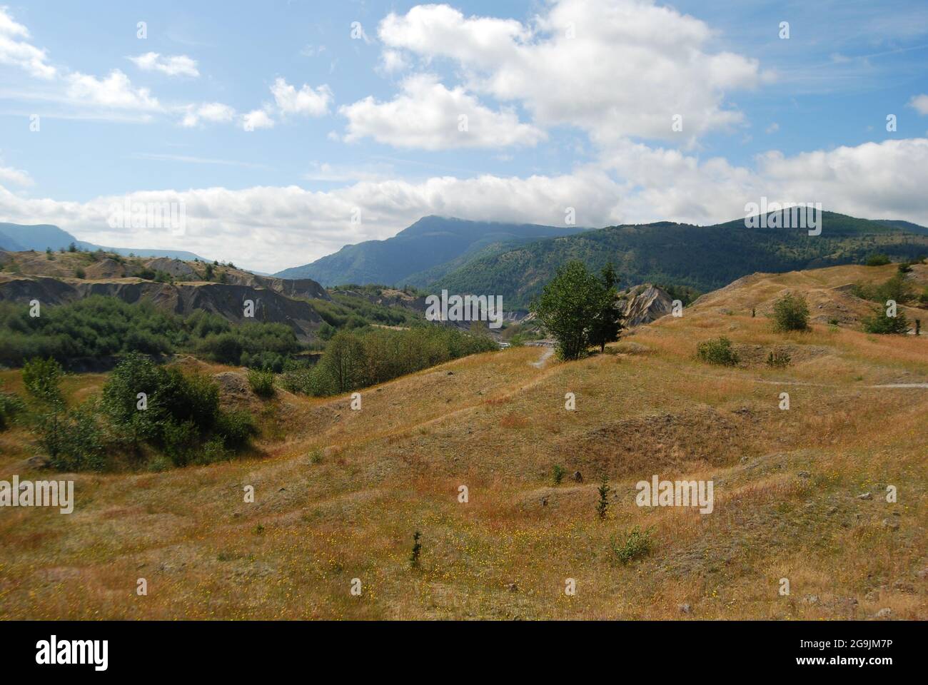 View from the Hummocks trail, Mt. St. Helens National Monument Stock ...