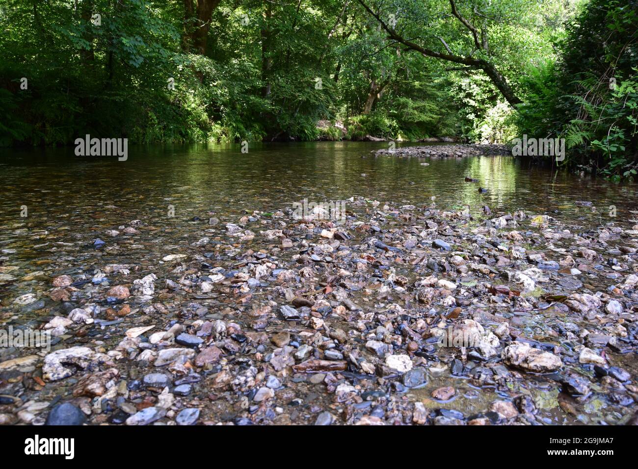 Respryn bridge river fowey hi-res stock photography and images - Alamy