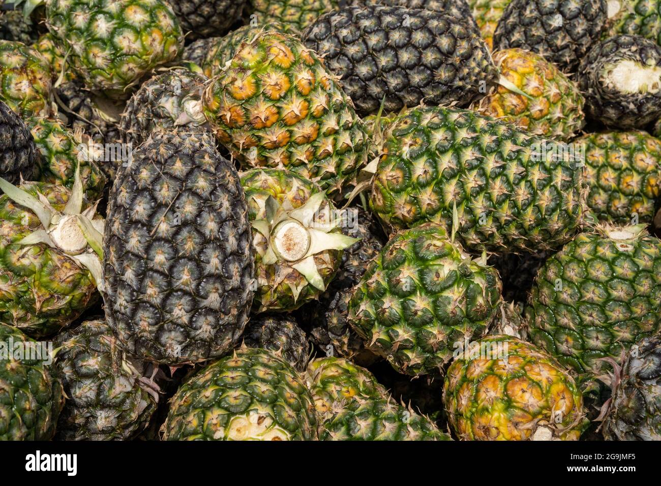 Pineapple processing hi-res stock photography and images - Alamy