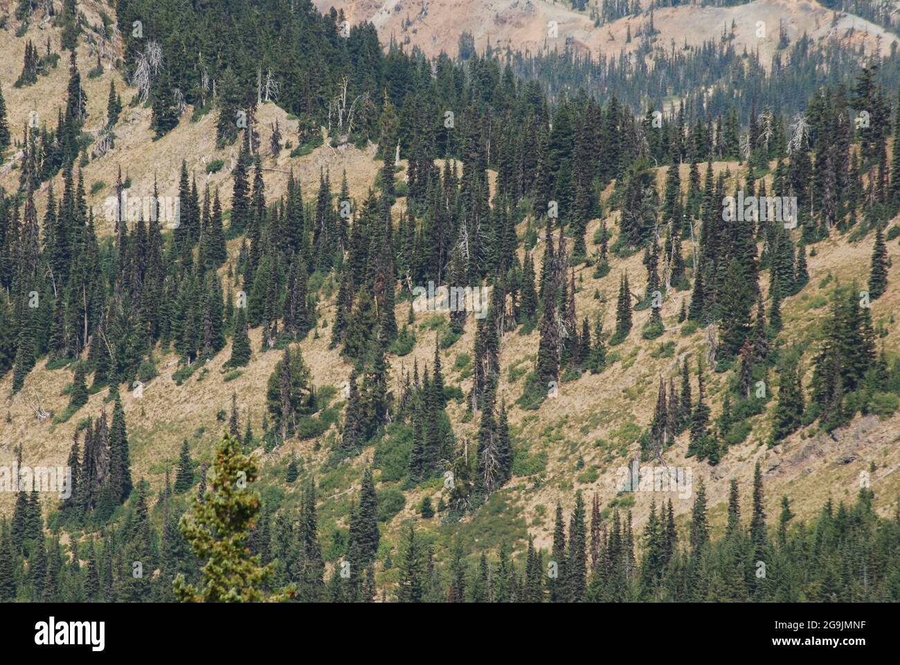 Entiat mountain range hi-res stock photography and images - Alamy