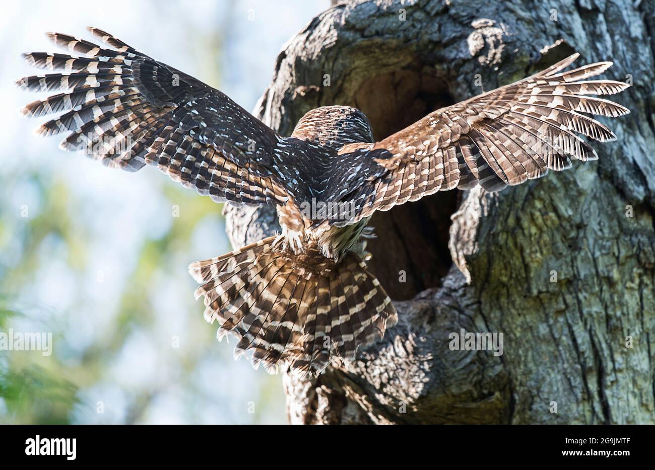One with nature Stock Photo - Alamy