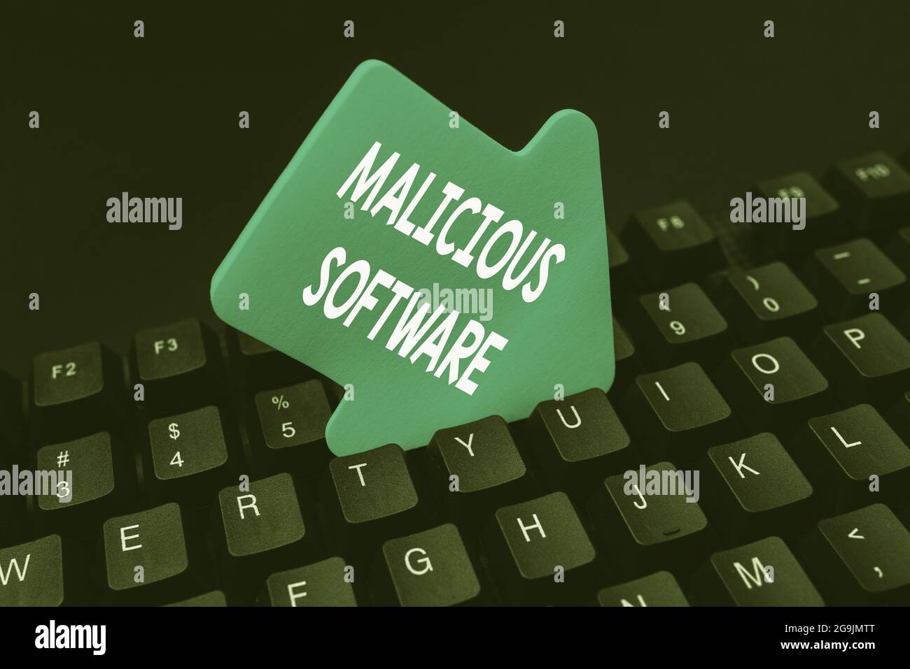 Conceptual display Malicious Software. Concept meaning the software ...
