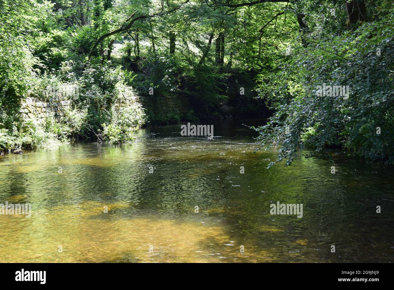 Respryn bridge river fowey hi-res stock photography and images - Alamy