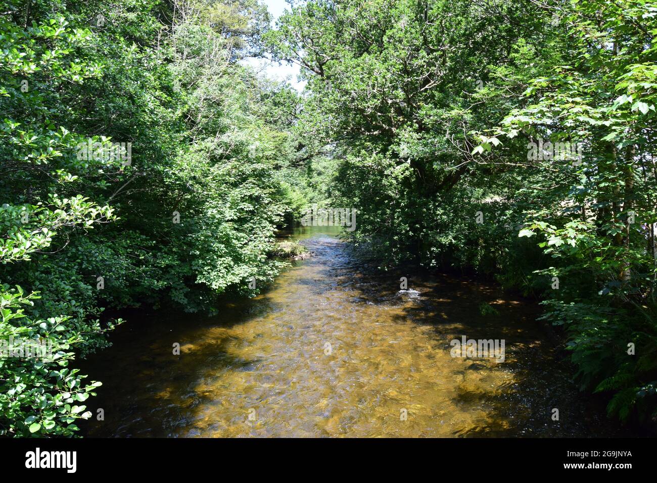 Respryn bridge river fowey hi-res stock photography and images - Alamy