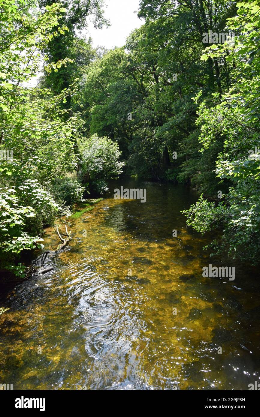 Respryn bridge river fowey hi-res stock photography and images - Alamy