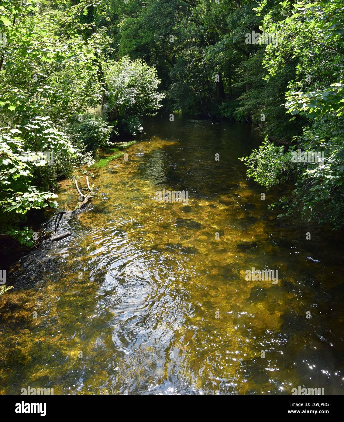 Respryn bridge river fowey hi-res stock photography and images - Alamy