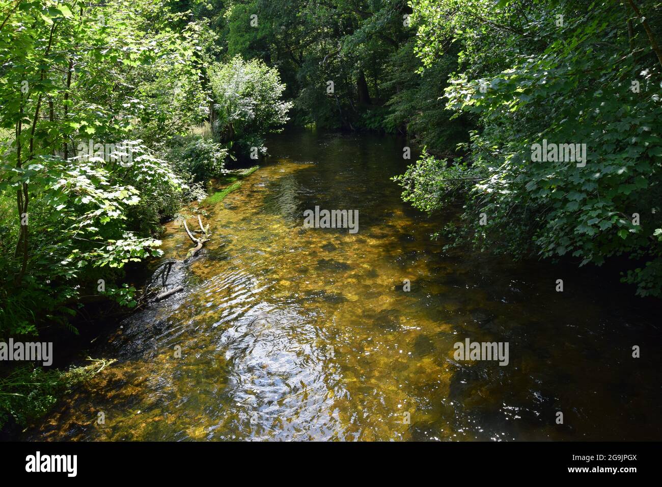 Respryn bridge river fowey hi-res stock photography and images - Alamy